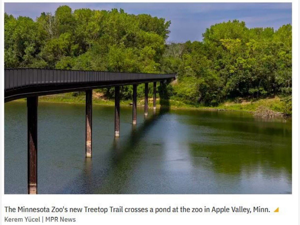 Atop Former Monorail Track, Minnesota Zoo's New Treetop Trail Set To ...