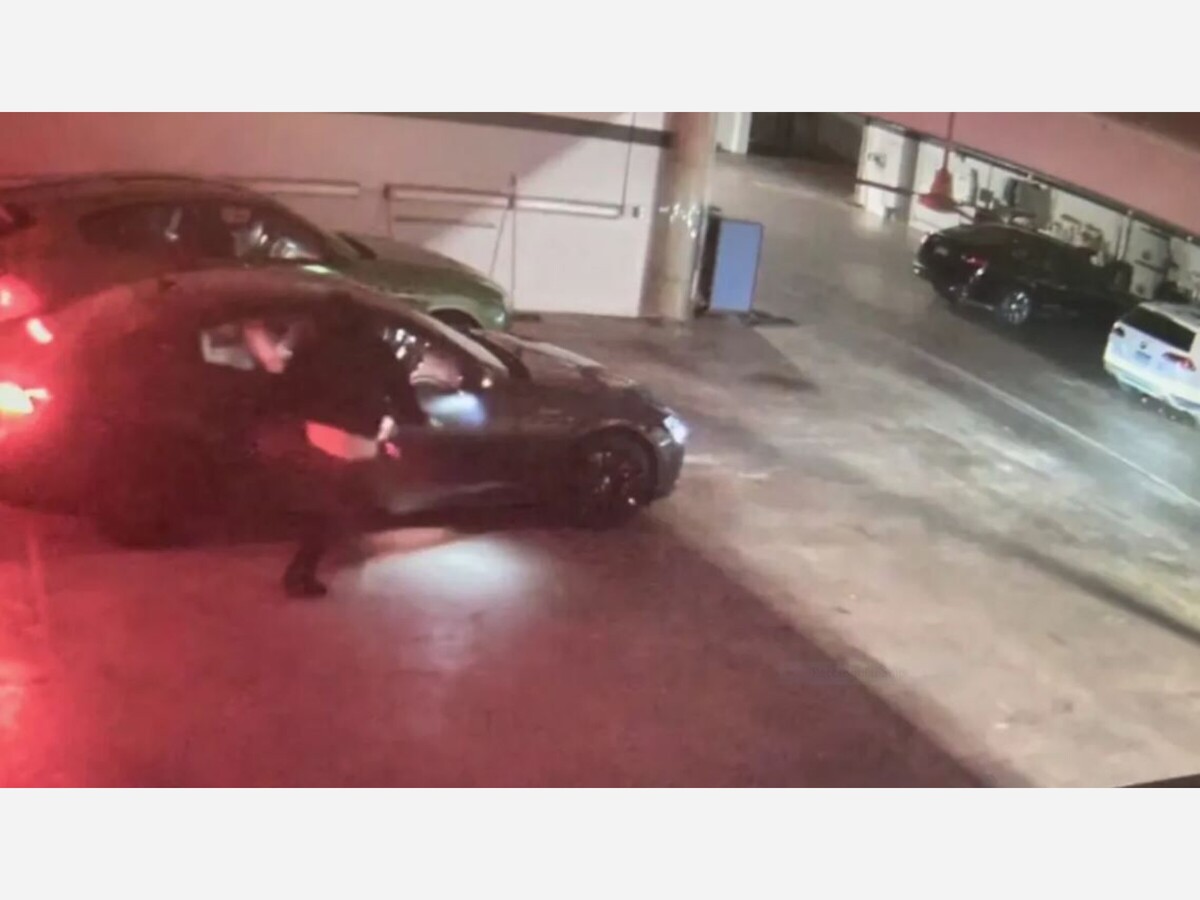 Suspect Arrested After Golden Valley Luxury Car Thefts | MinneapoliMedia