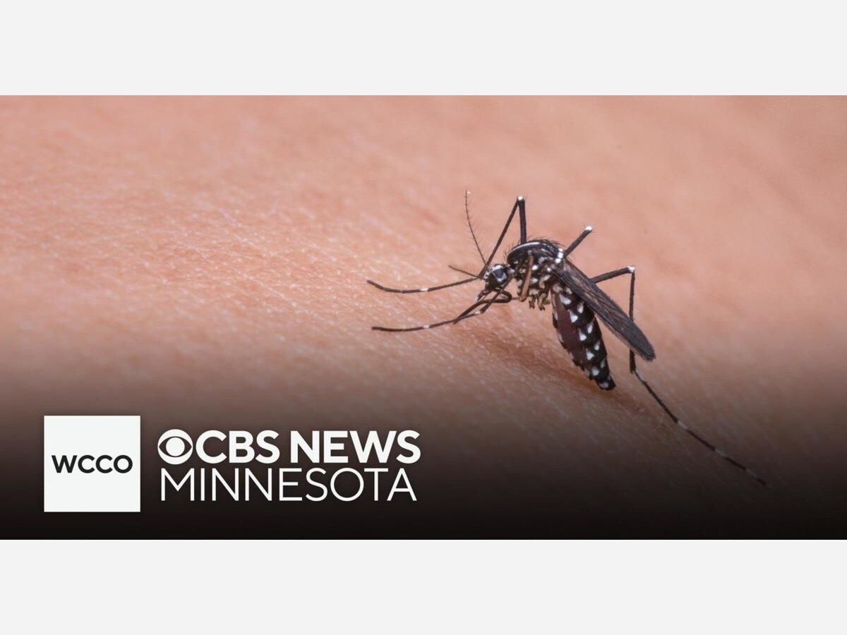 Where Are The Mosquito "Hot Spots" In The Twin Cities This Year ...